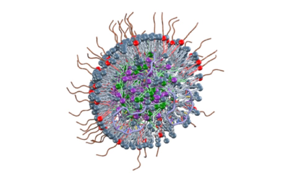 Why our original Lipid Nano Particles have obtained agreements with 29 ...