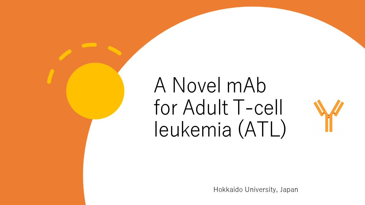 A Novel mAb for Adult T-cell leukemia (ATL) | HOKKAIDO UNIVERSITY BOSTON RESEARCH SHOWCASE